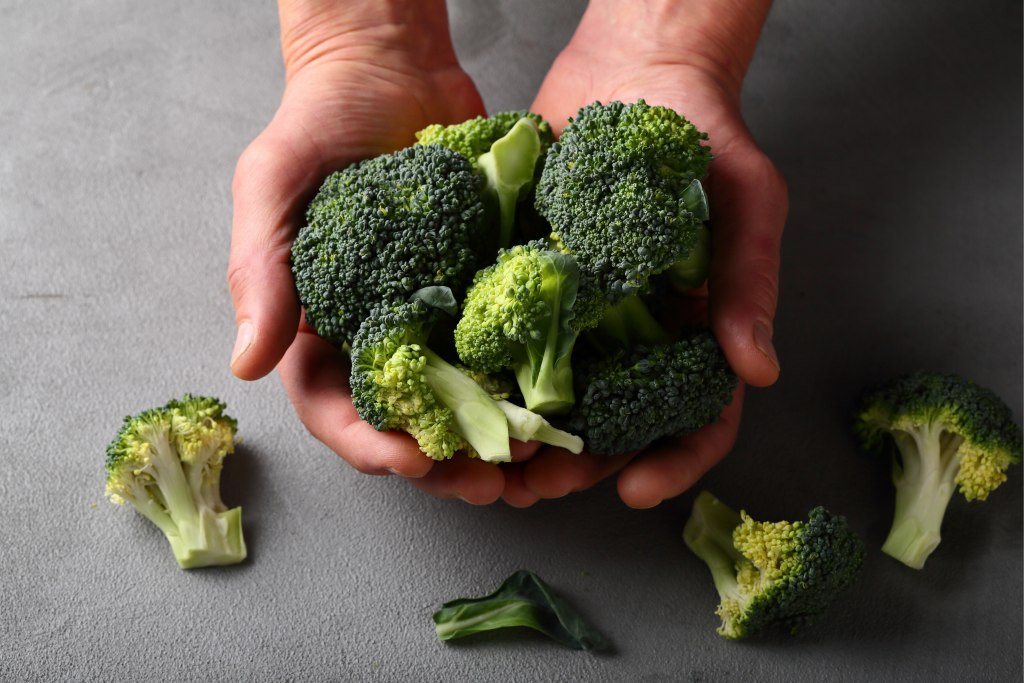 Portion Control - The Hand Jive Method - Nutrition